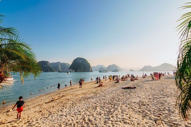 Cozy Bay Premium Cruise Halong Bay Luxury 1 Day - BUFFET LUNCH - Final Thoughts