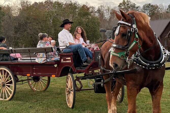Cozy Farm Experience with Wagon Wheels and Acoustic Meal - Final Thoughts