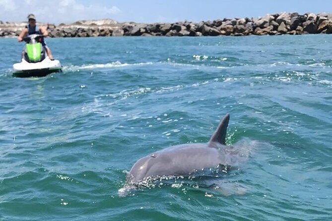 Crab Island Dolphin Jet Ski Adventure - What to Expect from the Tour: A Step-by-Step Breakdown