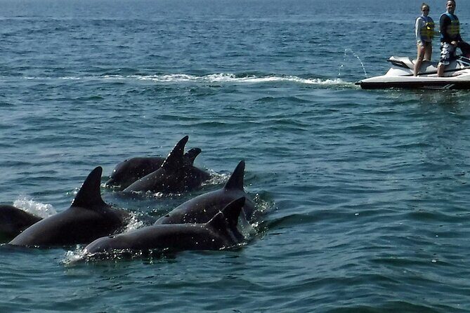 Crab Island Dolphin Jet Ski Adventure - Frequently Asked Questions