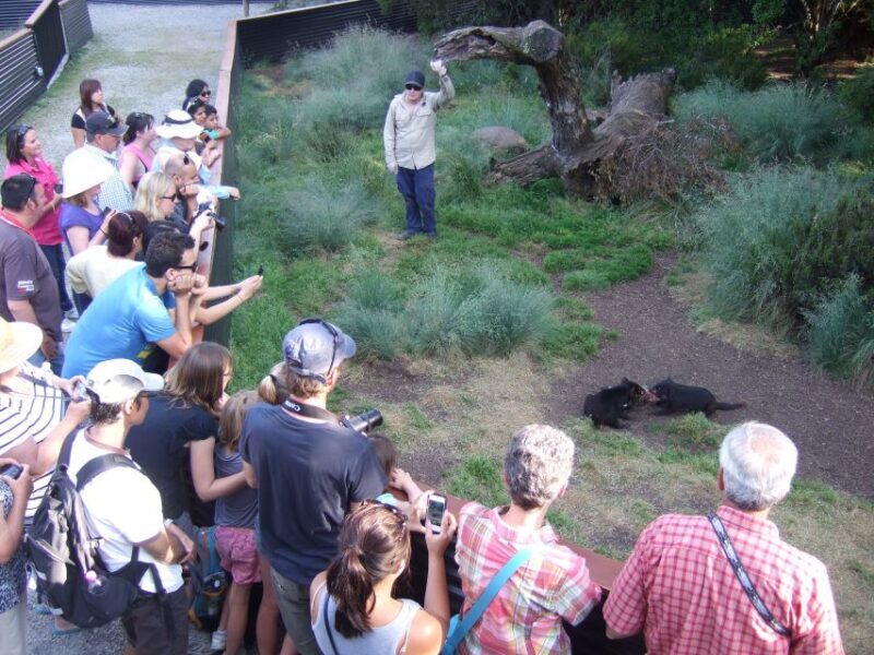 Cradle Mountain: After Dark Tasmanian Devil Feeding Tour - FAQ