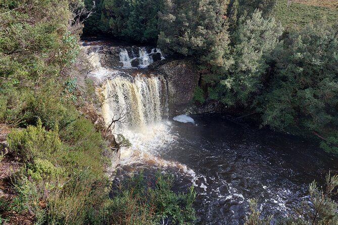Cradle Mountain: Burnie Shore Excursion - The Wilderness Gallery and the Spirit of Tasmania