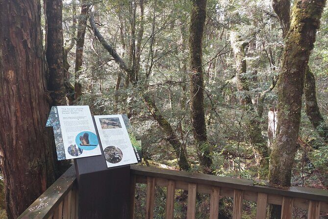 Cradle Mountain: Burnie Shore Excursion - Who Is This Tour Best For?