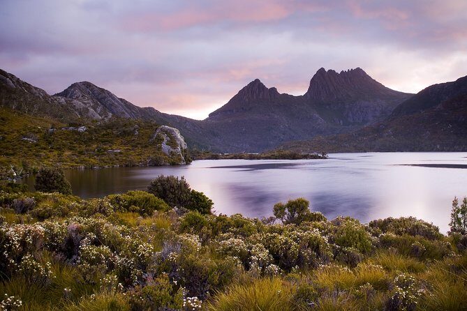 Cradle Mountain Day Tour Private Charter Service - Deep Dive into the Itinerary