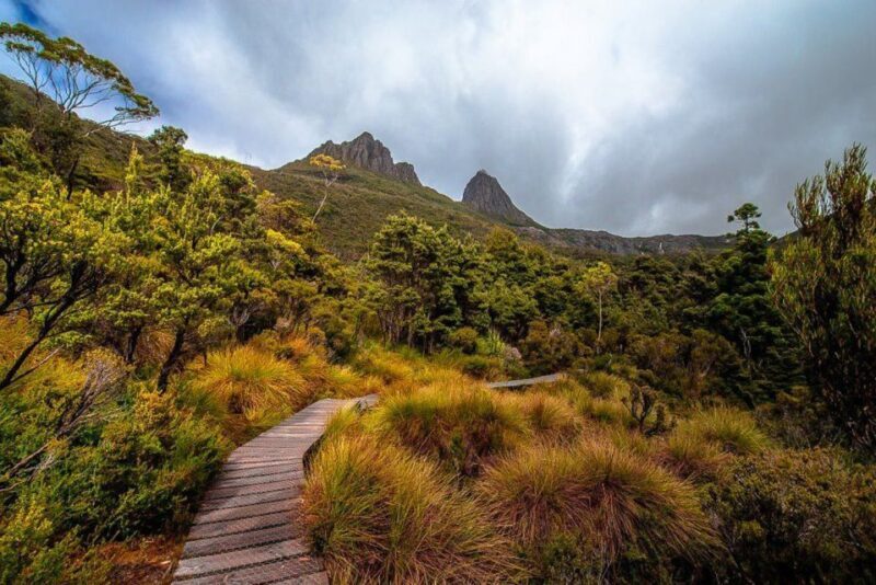 Cradle Mountain: Day Trip from Launceston with Lunch - An In-Depth Look at What to Expect