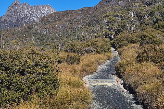 Cradle Mountain: Dove Lake Guided Hiking Tour - Who Should Consider This Tour?