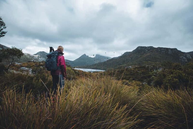 Cradle Mountain: Fully Guided Dove Lake Day Tour with Lunch - Why Choose This Tour? A Balanced Look