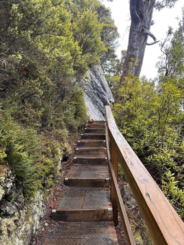 Cradle Mountain: Fully Guided Dove Lake Day Tour with Lunch - The Value of the Experience