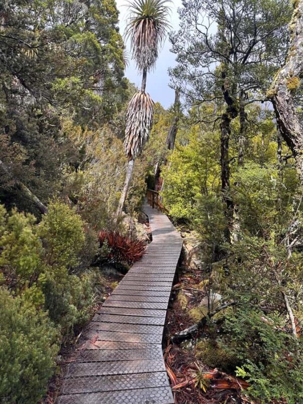 Cradle Mountain: Fully Guided Dove Lake Day Tour with Lunch - Who Will Love This Tour?
