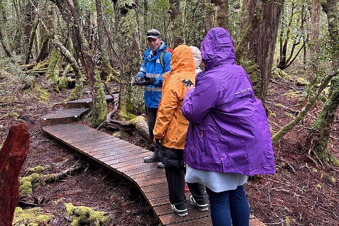 Cradle Mountain Half Day Dove Lake Guided Tour with Lunch - The Itinerary in Detail
