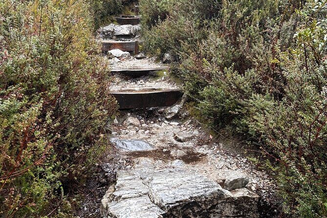 Cradle Mountain Half Day Dove Lake Guided Tour with Lunch - Authentic Experiences and Authentic Guides
