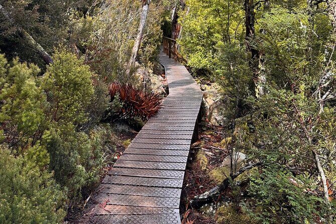 Cradle Mountain Half Day Dove Lake Guided Tour with Lunch - FAQ