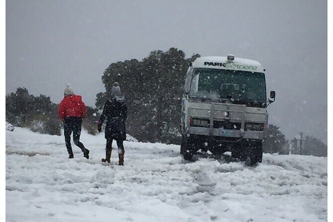 Cradle Mountain Half Day Park Explorer Tour with Lunch - What Past Travelers Are Saying
