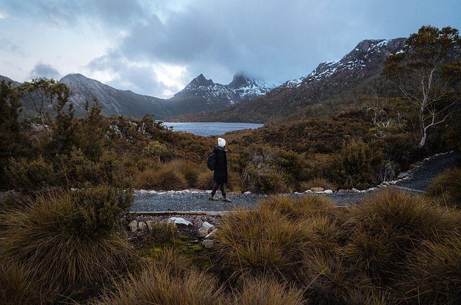 Cradle Mountain Half Day Park Explorer Tour with Lunch - Final Thoughts: Who Will Love This Tour?