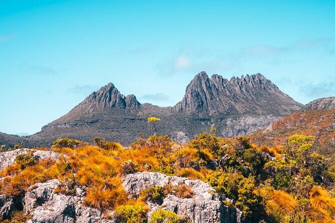 Cradle Mountain National Park Day Tour from Launceston - The Value of Guided Convenience