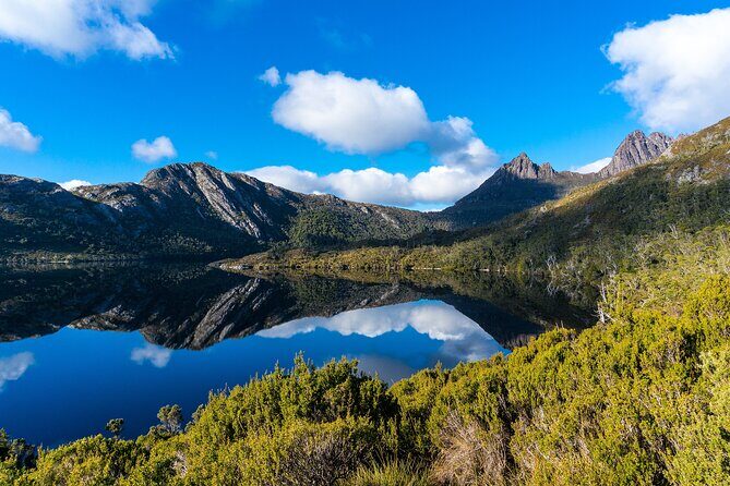 Cradle Mountain National Park Day Tour from Launceston - Who Will Appreciate This Tour?