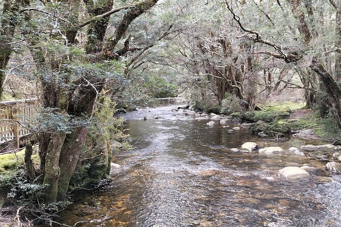 Cradle Mountain Sightseeing Tour from Devonport or Burnie - An In-Depth Look at the Cradle Mountain Day Tour