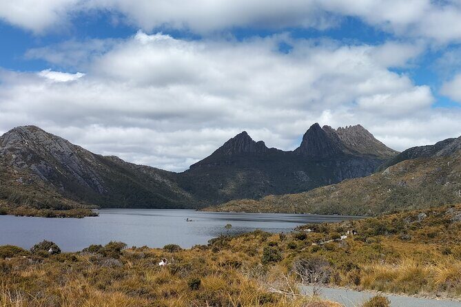 Cradle Mountain Sightseeing Tour from Devonport or Burnie - FAQ