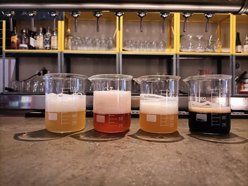 Craft Beer Tasting and tapas in Valencia - An Authentic Spanish Craft Beer Experience in Valencia