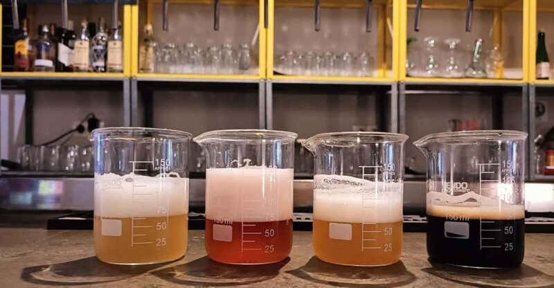 Craft Beer Tasting and tapas in Valencia - What Makes This Tour Stand Out?