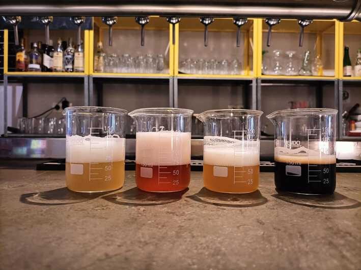 Craft Beer Tasting and tapas in Valencia - The Value and Why It’s Worth It