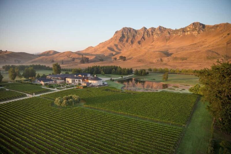 Craggy Range Deluxe, x2 winery tastings + Te Mata Peak - Who Is This Tour Best For?