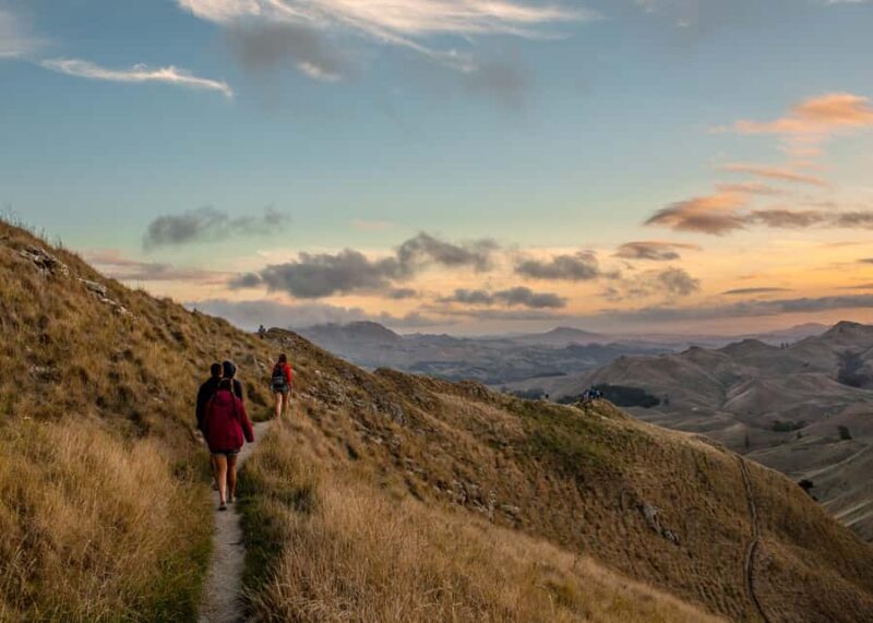 Craggy Range Deluxe, x2 winery tastings + Te Mata Peak - Final Thoughts