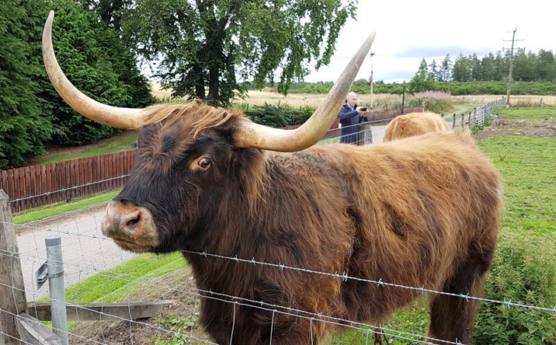 Craigs Luxury Speyside Private Whisky Tour - Final Thoughts