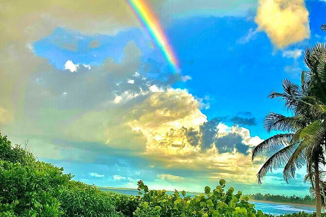 Crash boat beach with snorkeling and Gozalandia waterfalls - Key Points