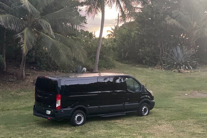 Crash boat beach with snorkeling and Gozalandia waterfalls - Final Thoughts on Value and Experience