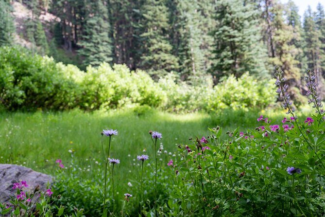 Crater Lake National Park Self-Guided Audio Tour - FAQ: Your Practical Questions Answered