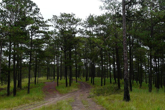 Crazy 8 Mountain Bike Tour from Dalat - The Reviews Speak: Authentic Feedback