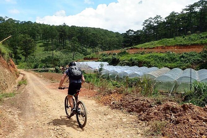 Crazy 8 Mountain Bike Tour from Dalat - The Sum Up
