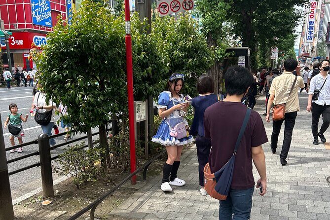 Crazy about Anime! Private Full Day Tokyo Manga Anime Tour by Chartered Vehicle - Who Should Book This Tour?