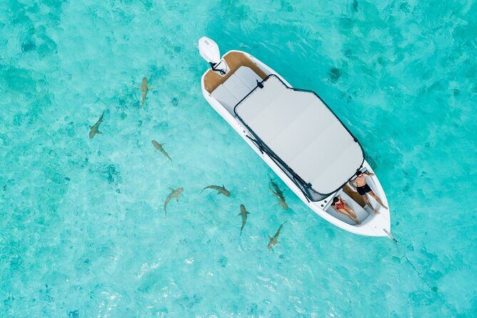 Crazy sea horse Private Sunset Tour in Bora Bora - The Experience in Context: Who Should Consider This?
