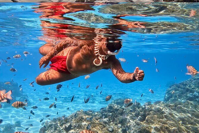 Crazyseahorseborabora Comfortable boat , sensational snorkeling . - What to Expect from the Crazyseahorseborabora Tour