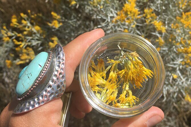 Create Energetic Flower Essences and Reconnect with Nature - Why This Experience Offers Genuine Value