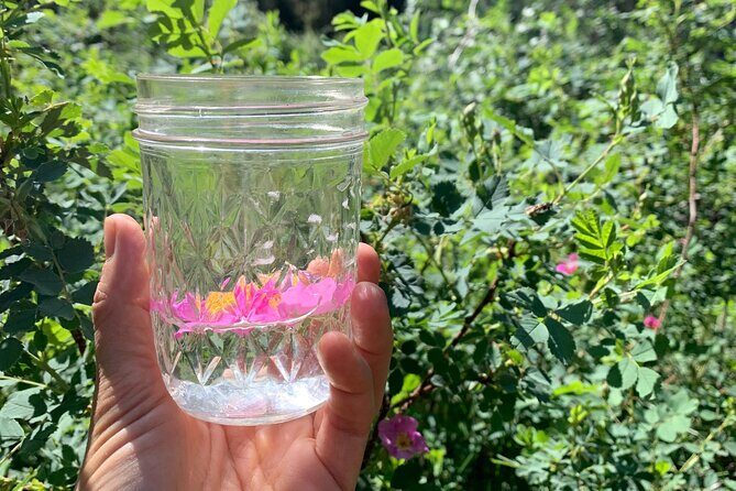 Create Energetic Flower Essences and Reconnect with Nature - The Sum Up
