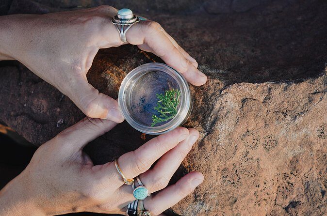 Create Energetic Flower Essences and Reconnect with Nature - FAQ