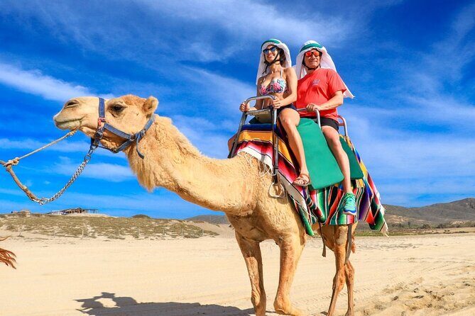 Create your COMBO: Choose 2 of the Best Tours in CABO - Key Points