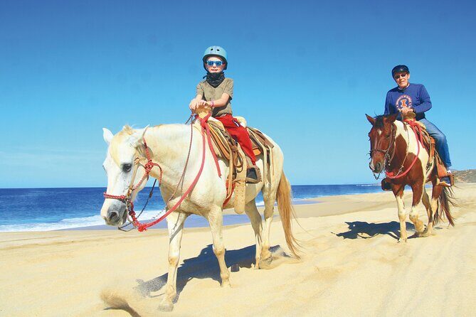 Create your COMBO: Choose 2 of the Best Tours in CABO - FAQ