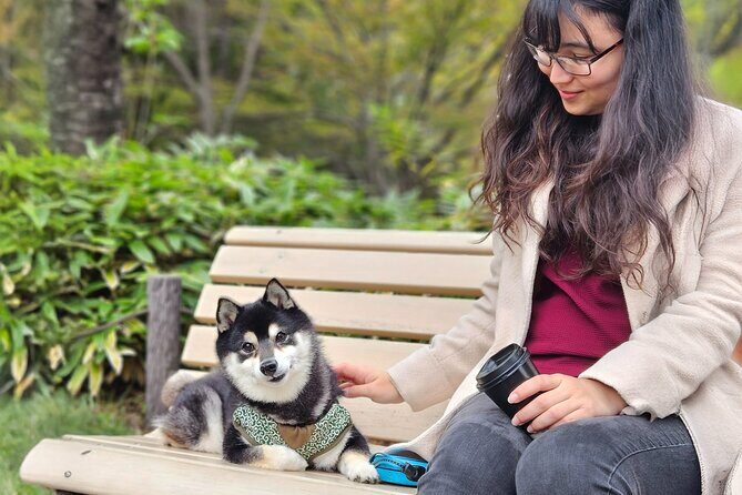 Create Your Custom Tokyo Food and Culture Tour - Pricing and Value