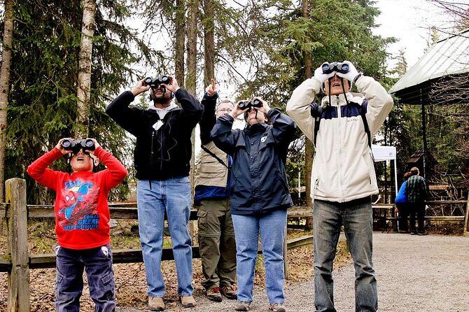 Creative Soul Scavenger Hunt Anchorage on the Tony Knowles Trail - Key Points