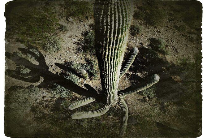 Creative Soul Scavenger Hunt(Sabino Canyon&Catalina Park,Tucson) - FAQ