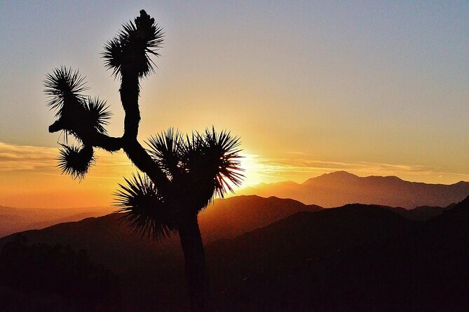 CreativeSoul ScavengerHunt(Hidden Valley,Joshua Tree)Remote Host - The Practicalities: What to Expect