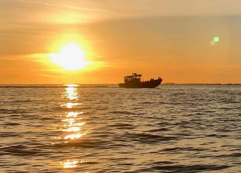 Crescent Beach: Sunset Wildlife Cruises in BC - A Close Look at the Experience