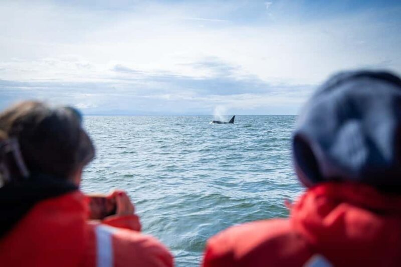 Crescent Beach: Sunset Wildlife Cruises in BC - Why This Tour Is a Great Choice