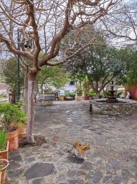 Cretan Traditional Village Assites, with food and drinks - Key Points