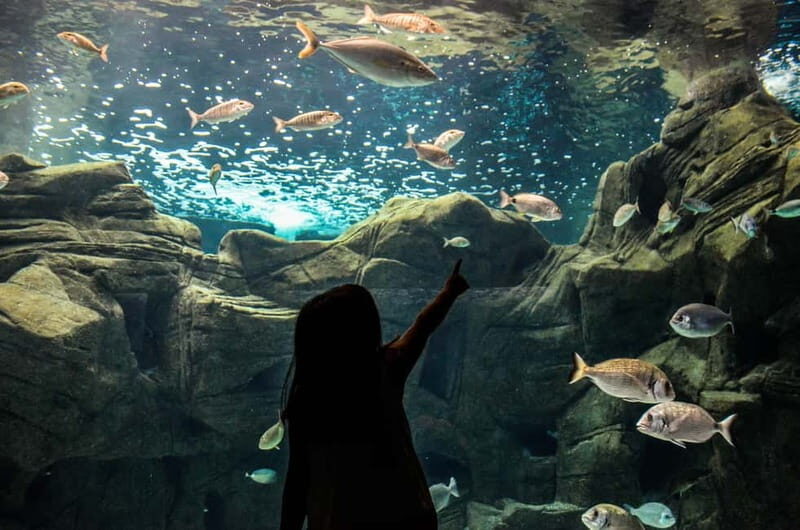 Cretaquarium Tour - Key Points