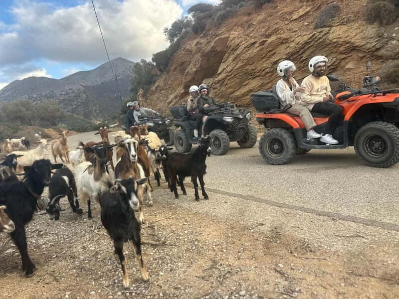 Crete: Agia Pelagia Quad Safari Private Tour - Final Thoughts: Is It Worth It?